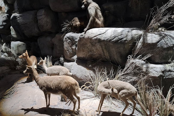 Geology and Minerals | Trip.com Shanghai