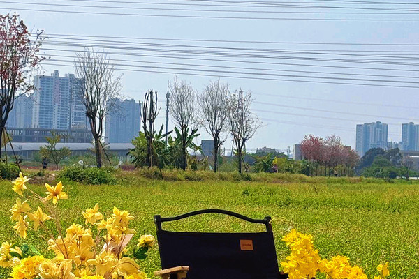 Featured on CCTV! Houjie Urban Pastoral Scenery: Step into a World of ...