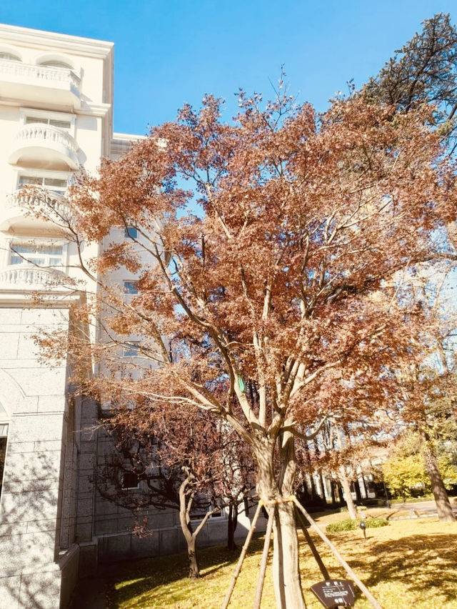 Global Villa Style | Trip.com Shanghai