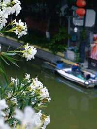 Fuzimiao — Where Qinhuai River Carries a Thousand Years of Light | Trip ...