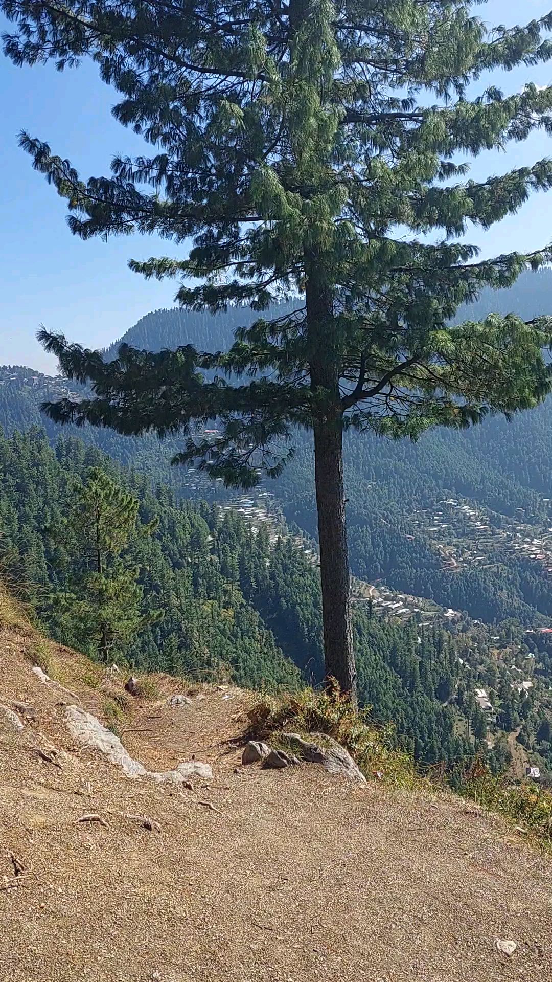 Changla Gali Travel Guide 2023 - Things to Do, What To Eat & Tips ...