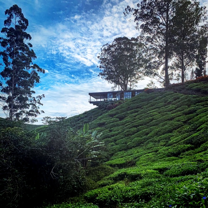 Cameron Highlands 2023 Top Things to Do - Cameron Highlands Travel ...