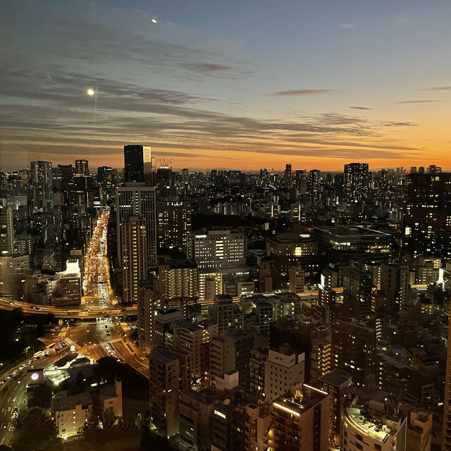 Spectacular view from Tokyo tower | Trip.com Tokyo