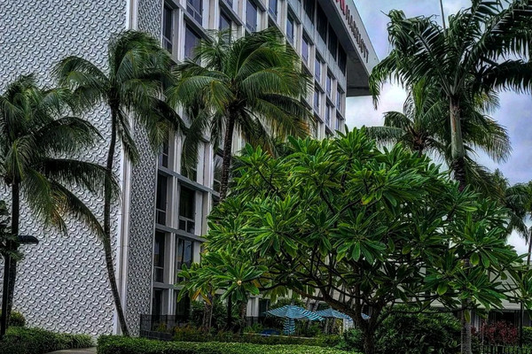 Miami airport mariott | Trip.com Miami