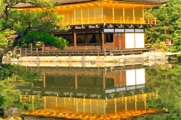 Kyoto Bucket-List: A Legendary Itinerary Guide 🇯🇵 | Trip.com Kyoto