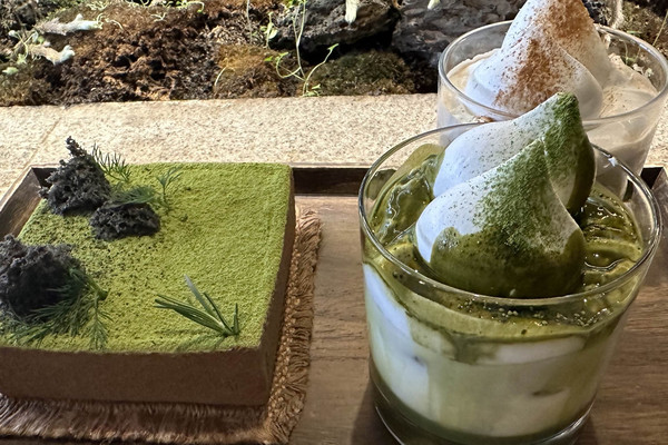 Cheongsudang Cafe with a breathtaking view | Trip.com Seoul