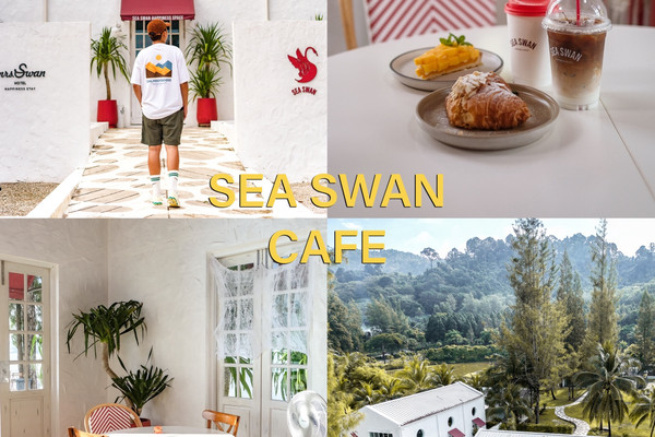 คาเฟ่ระนองสุดมินิมอล Sea Swan Cafe | Trip.com ระนอง