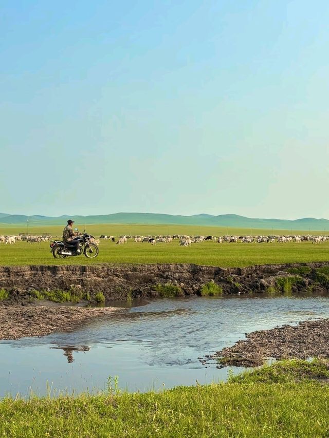 Nomads of the North: Life on the Hulunbuir Grassland | Trip.com Old ...