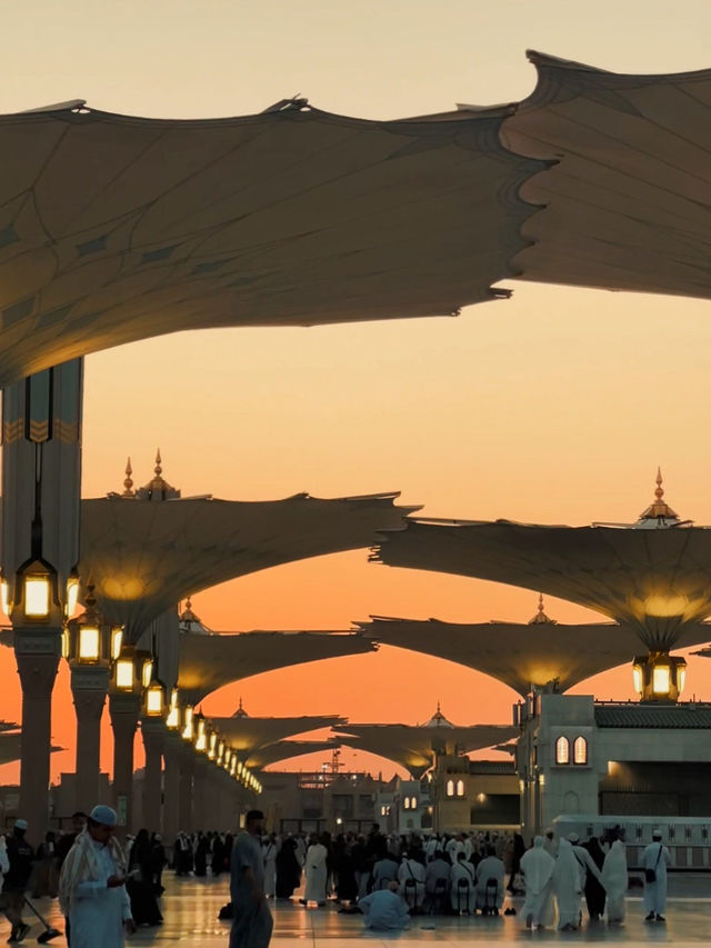 The Iconic Umbrellas of Masjid Nabawi: A Modern Marvel in a Sacred ...