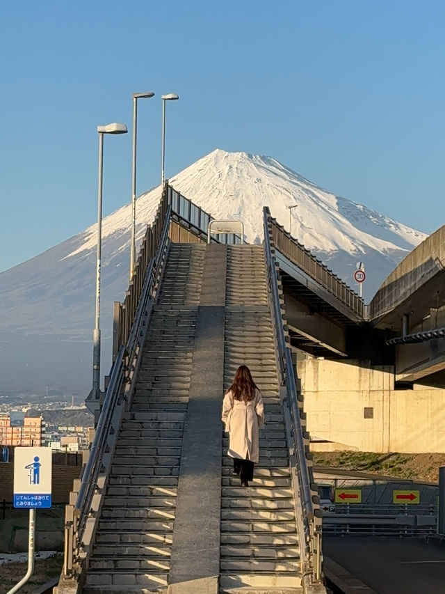【富士山夢之大橋】感受壯麗富士山！絕美打卡景點🗻🩵｜Trip.com 富士山