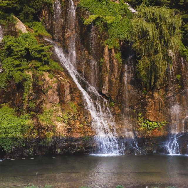 Time To relax at Hongjecheon Waterfall&Cafe | Trip.com Seoul