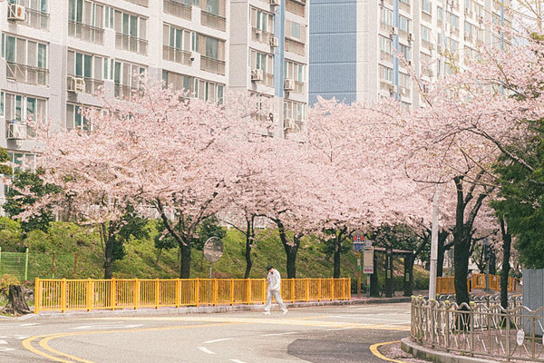 Busan 3-Day, 2-Night Travel Itinerary | Trip.com Busan