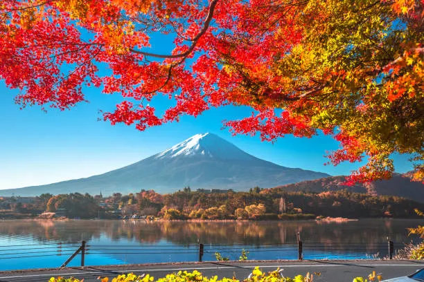 Visa Jepang 2026 untuk WNI: Syarat, Jenis Visa, Cara Apply, Visa Waiver ...