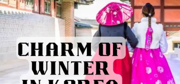 Winter in Korea | Trip Guide