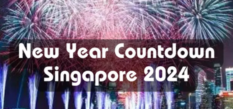 New Year Countdown Singapore 2024 | Trip Guide