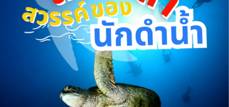 แนะนำที่เที่ยว ที่พักบนเกาะเต่า เกาะสวรรค์ของนักดำน้ำ และสถานที่พักผ่อน ...