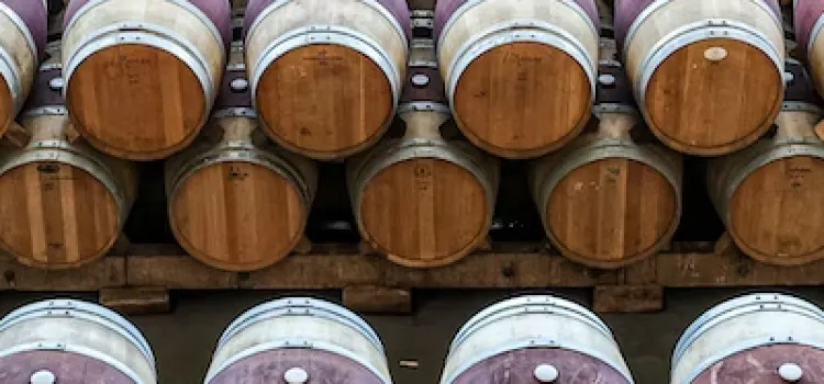 Haro Wine Festival, La Rioja