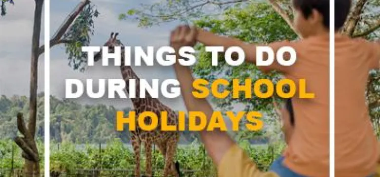 Things to Do During School Holidays - Trip.com