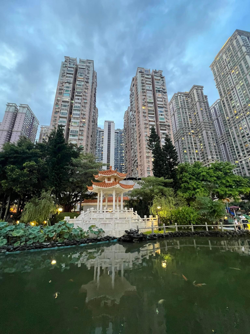 Macau Flower Garden | Best Flower Site