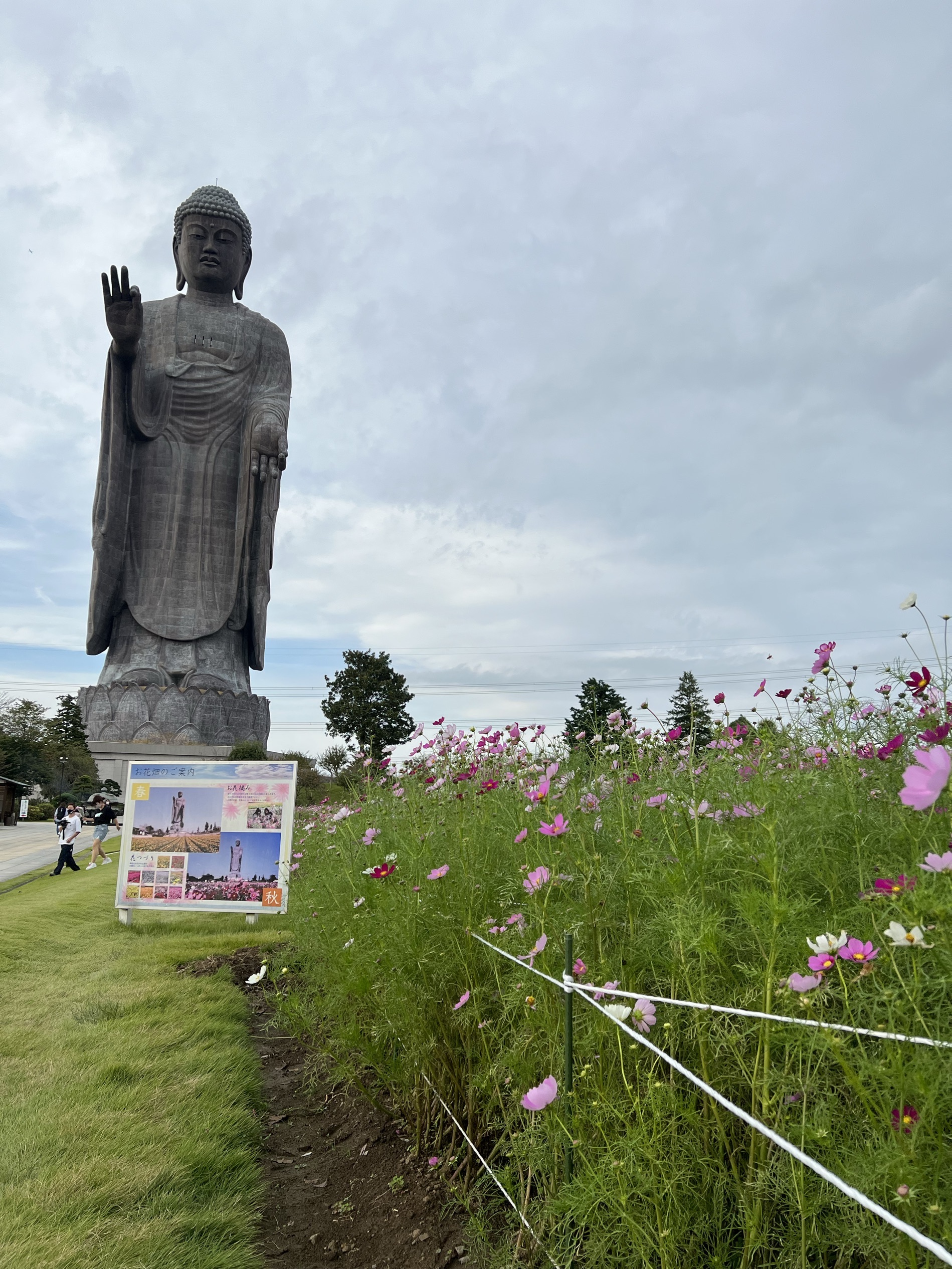 Ushiku Japan Die Größte Statue In Japan Der Ushiku Daibutsu Big
