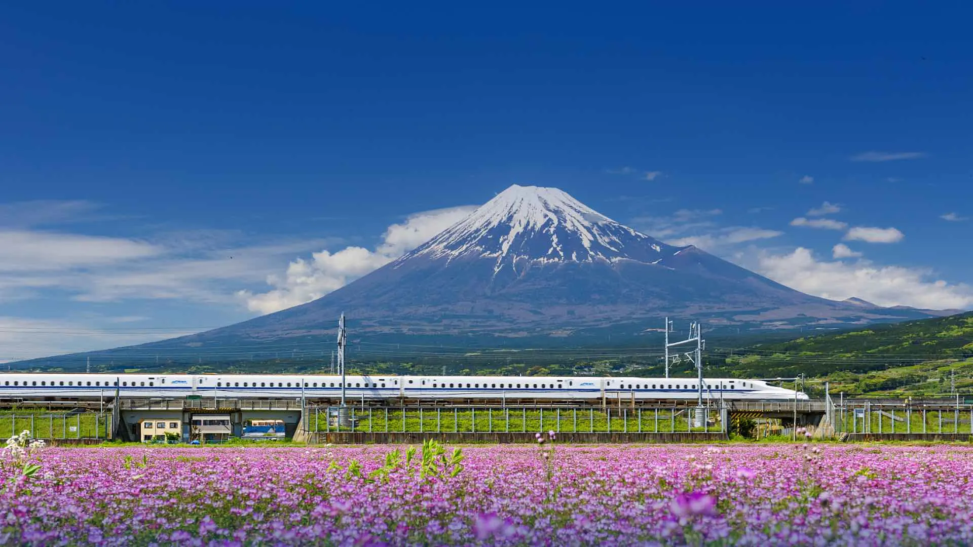 Japan train tickets & schedule | Book Shinkansen online at Trip.com