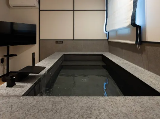 Mitsuya Ryokan Hotel By Anook Daejeon Yongjeon Branch - Daejeon