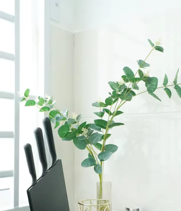 Desaru 29m6 [Ktv] Mickey By Joyfully - Bandar Penawar