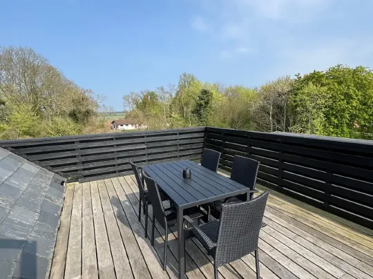 The Snowdrop - Odense