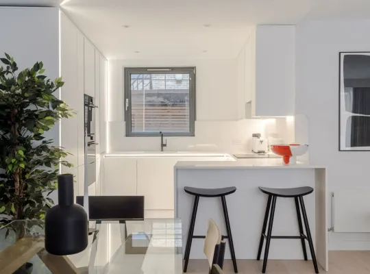 The Swan - Fitzrovia - By Frankie - London