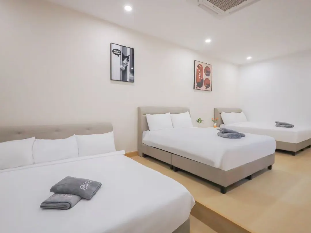 30pax Luxury Party Villa # 11 Facility#miao Nalisa By Moods Homestay - ジョホールバル