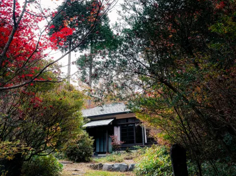 Exp._ Atelier - Fujinomiya