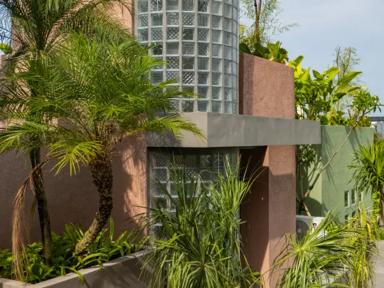 Patha Canggu - Canggu