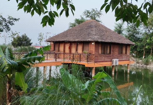 Jungle Heritage Resort : Avis, Tarifs & Photos 2026 | Trip.com