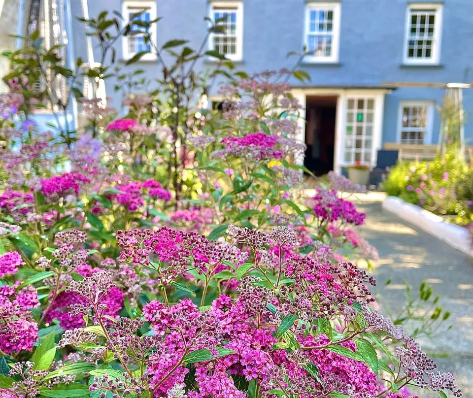 St Davids Cross Hotel - Pembrokeshire