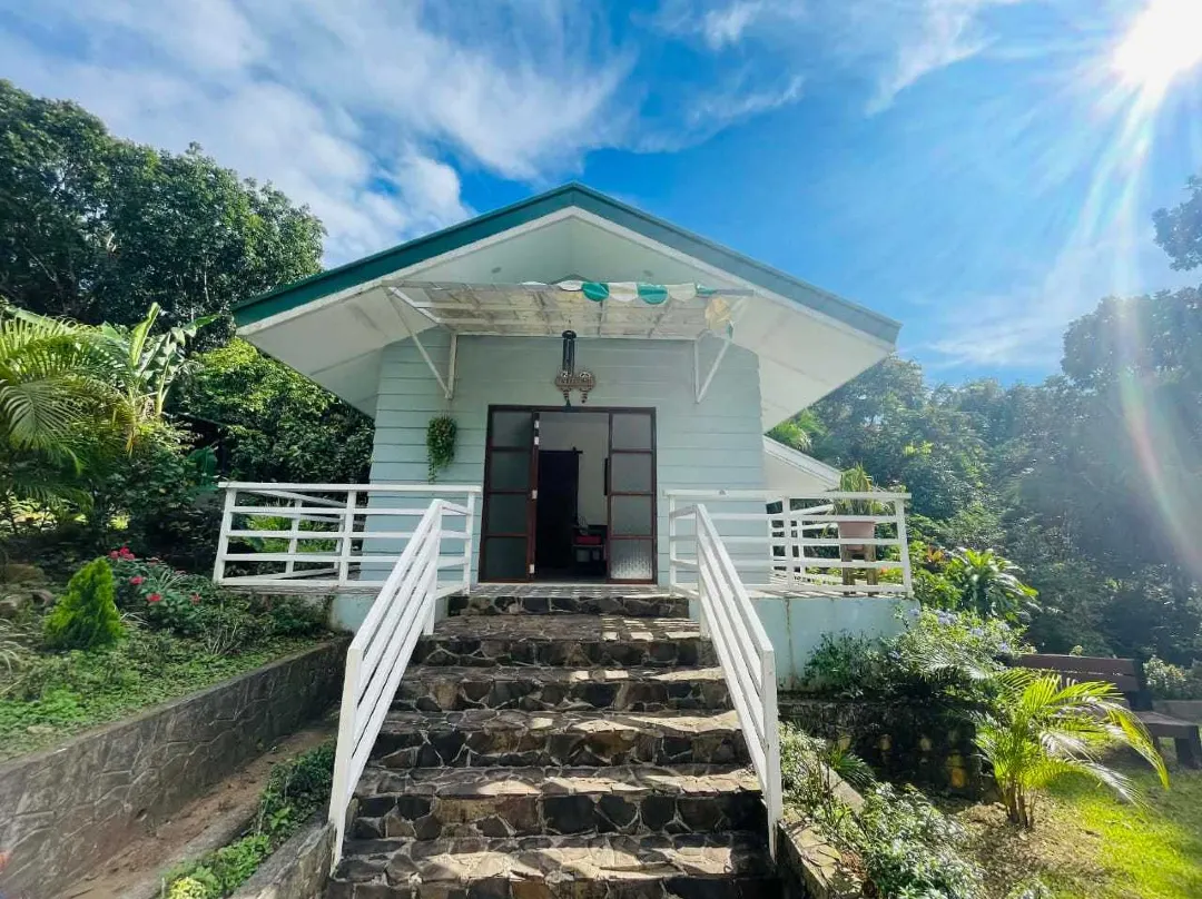 The Pinehill Farm - Tanay