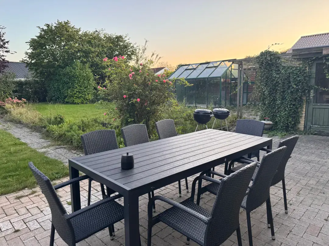 The Sunflower - Odense