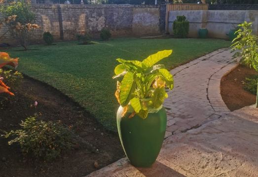 0787391431 Golden Gate Guest House In Mafikeng, Mafikeng - Latest ...