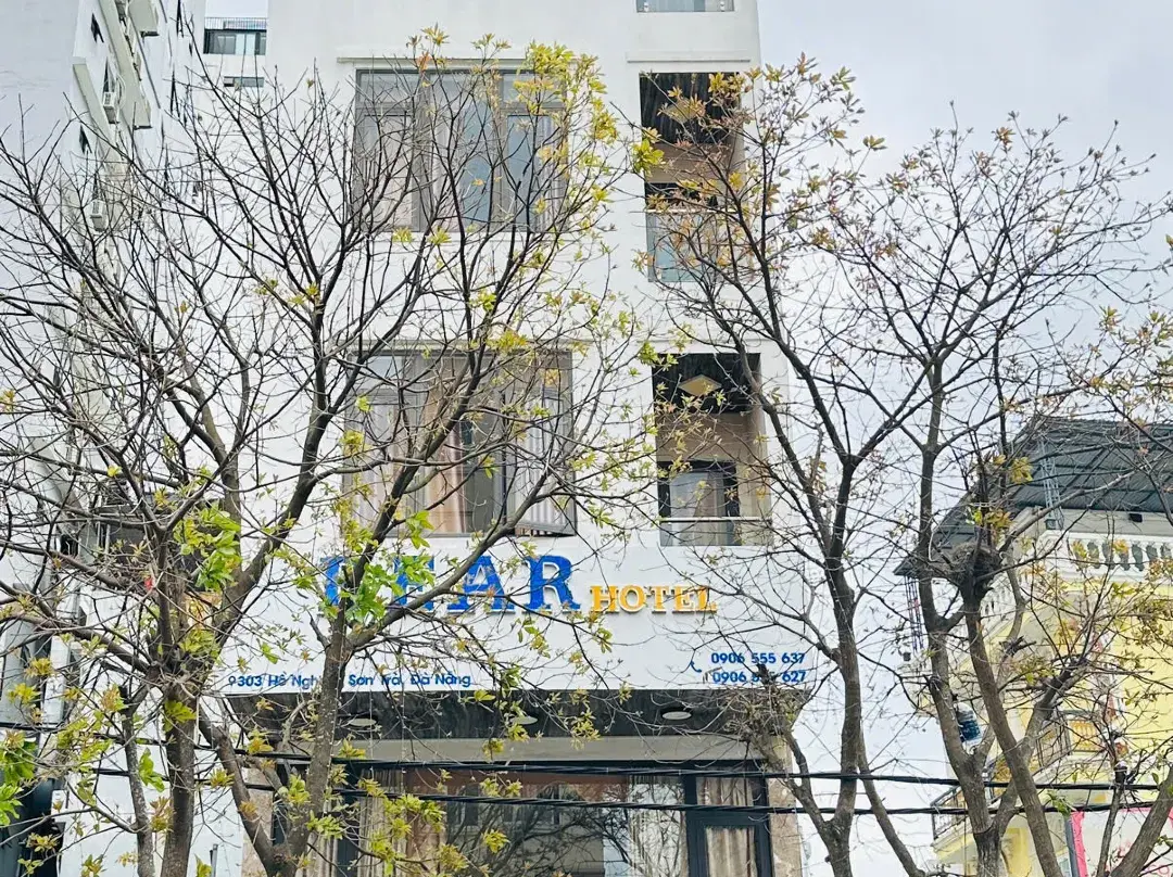 Bear Hotel & Homestay - Đà Nẵng