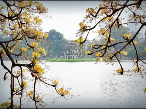 Hanoi Golden Hotel - Hanoi