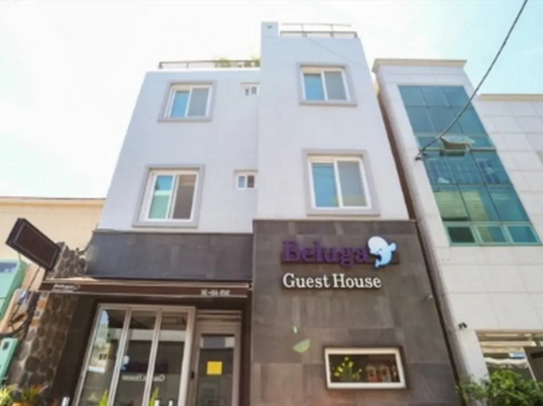 Beluga Guest House - Hostel - Yeosu-si