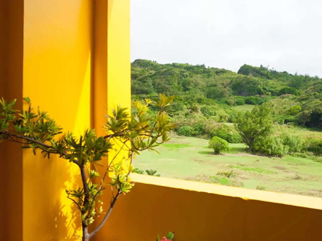 Shen's Village Hotel Bali - 滿州鄉