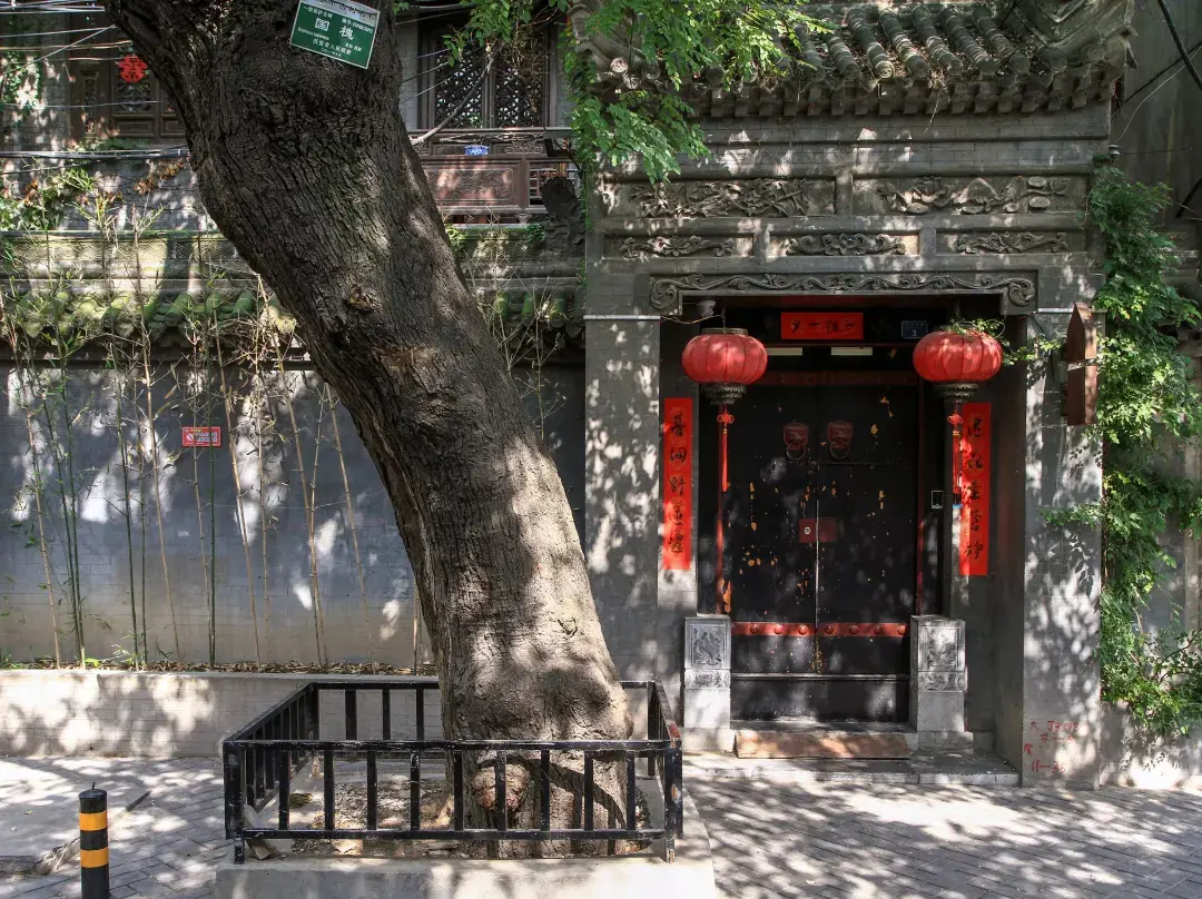 Old Locust Homestay - Xi'An
