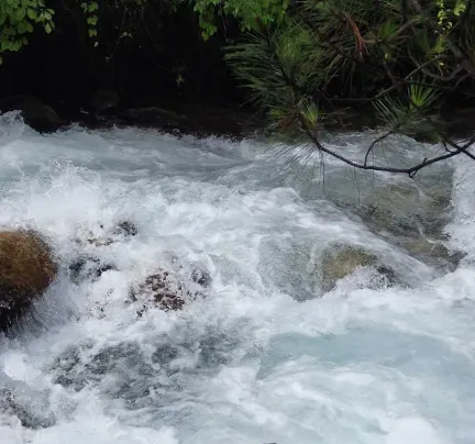 Chayu Hongsheng Hotel - Arunachal Pradesh