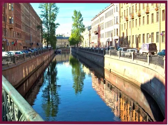 Mushroom24 - Saint Petersburg (Russia)