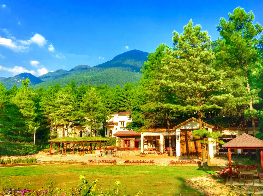30 Degree Garden Resort Hotel - Chongqing