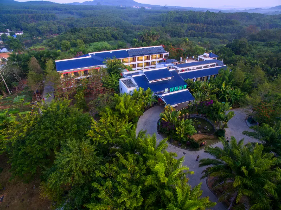 Forest Inn - Danzhou