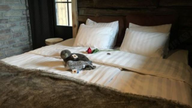 Hotel & Spa Resort Järvisydän,Rantasalmi - Updated 2023 Prices | Trip.com