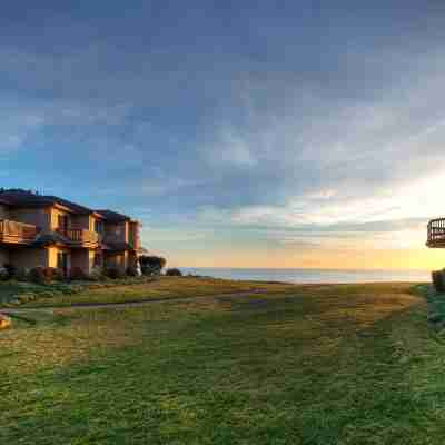 Latest Seascape Beach Resort Map,Address, Nearest Station & Airport ...