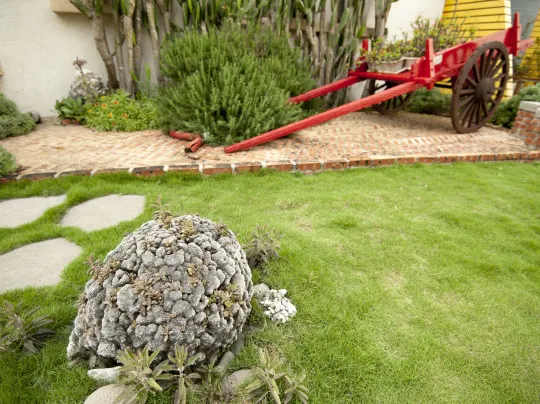 Sea, To Stay - Magong