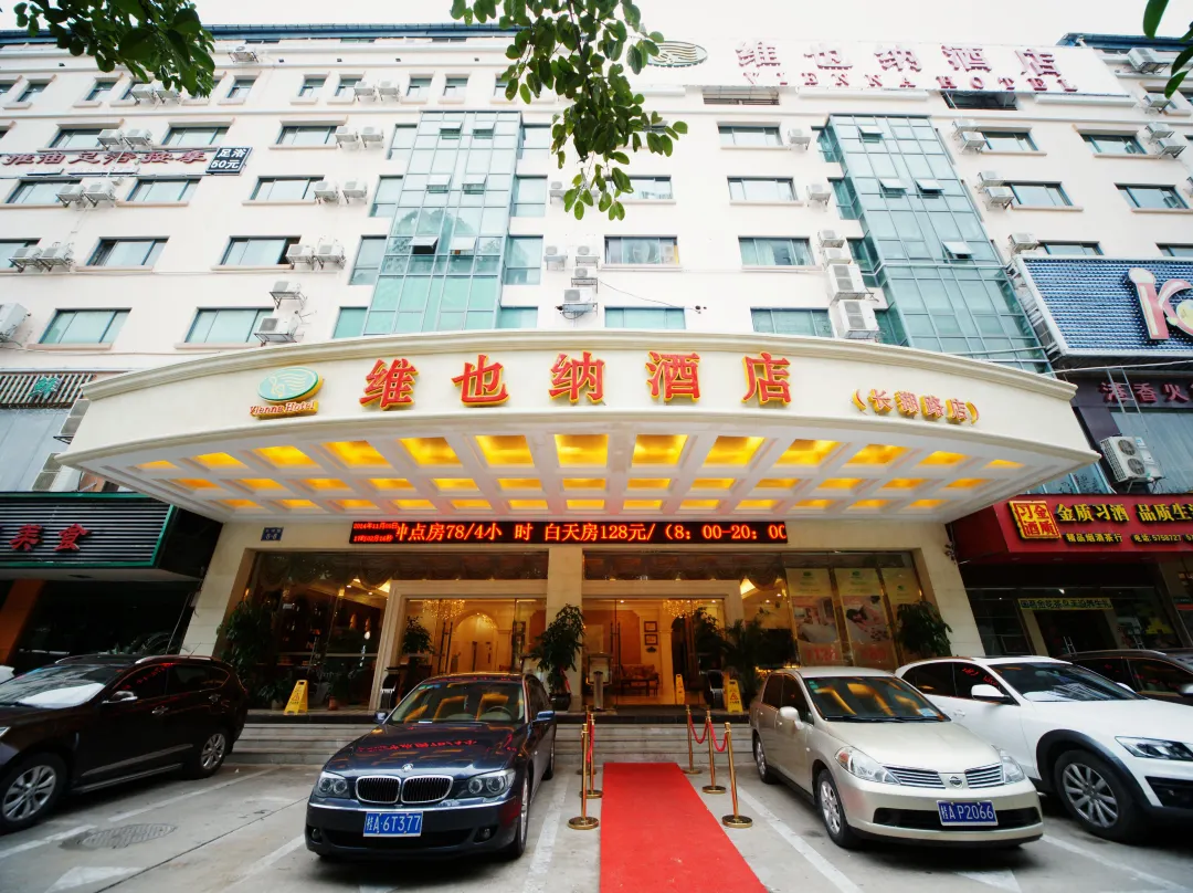 Vienna Hotel - 난닝 시
